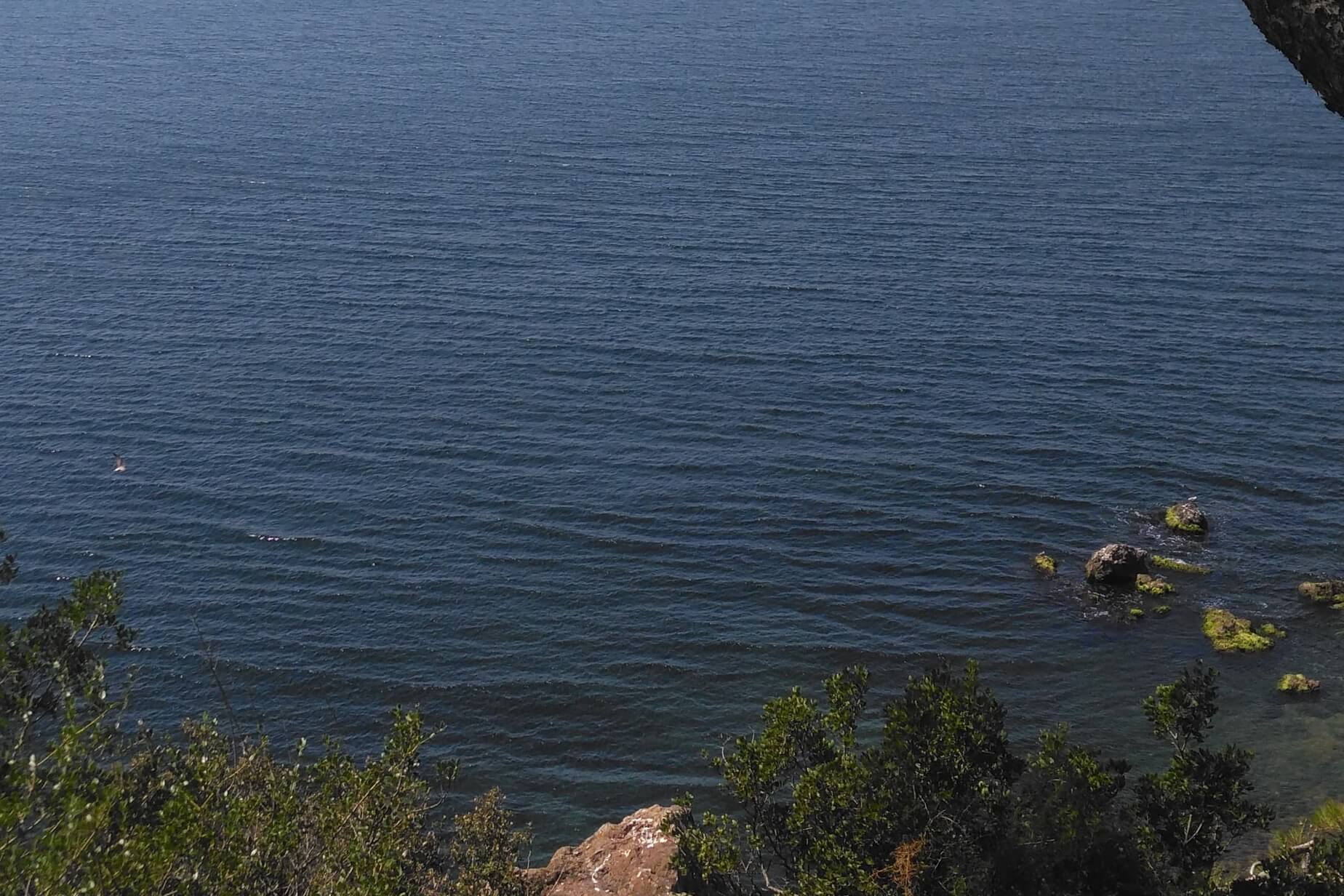 Istanbul Beach Guide: Where To Swim In Istanbul?