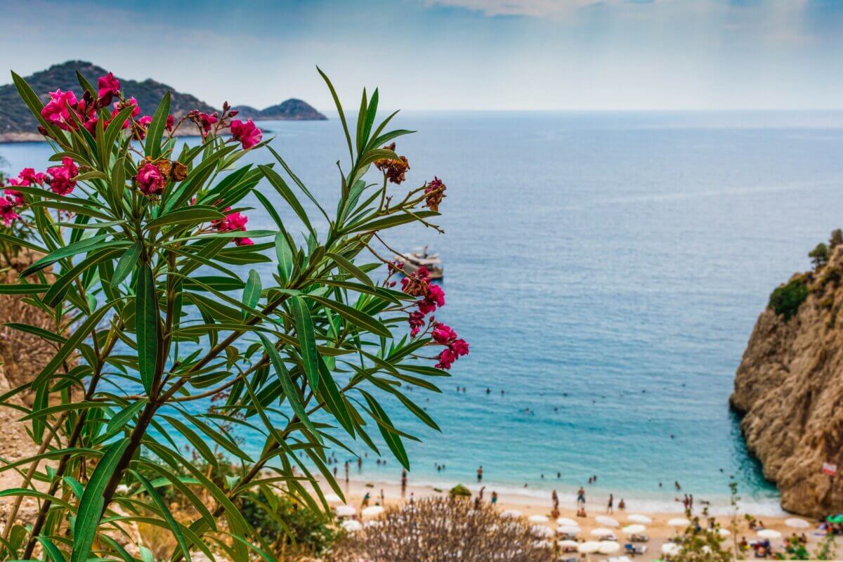 Istanbul Beach Guide: Where To Swim In Istanbul?