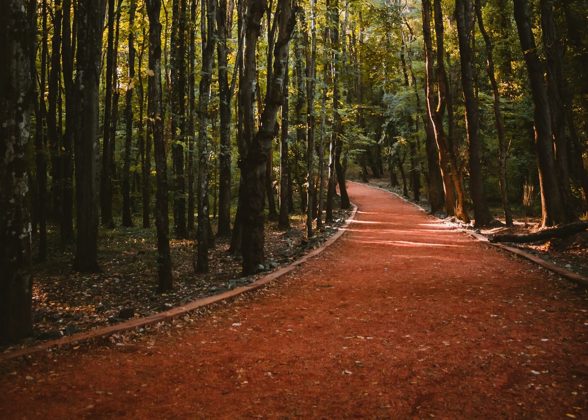 Istanbul Nature: The Green Side Of This Great City