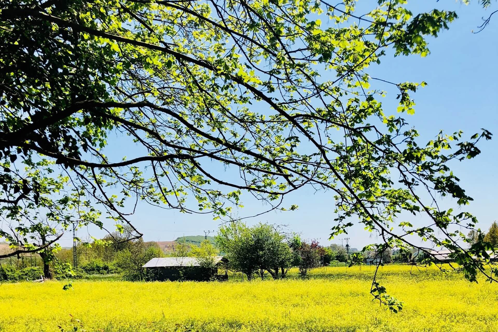 Istanbul Nature: The Green Side Of This Great City