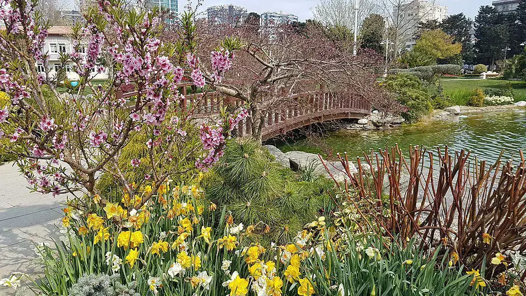 The10 best parks and forests in Istanbul for walking